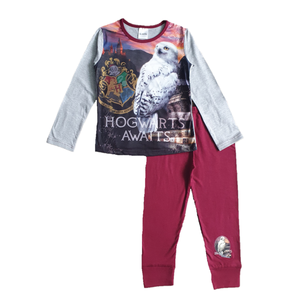 Harry Potter Pyjamas Girls Harry Potter Nightwear Hogwarts Awaits Size ...